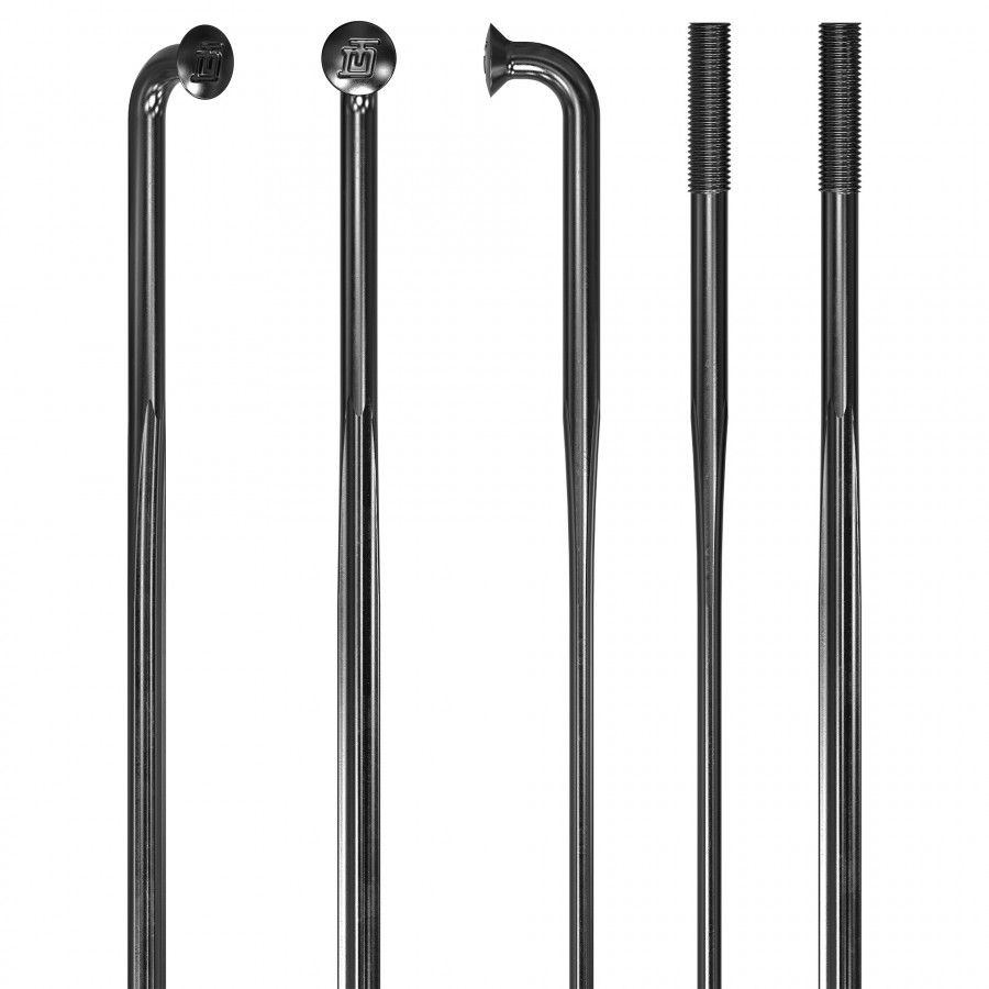 DT Swiss Revolite | Bikelive - L'actu 100 % VTT